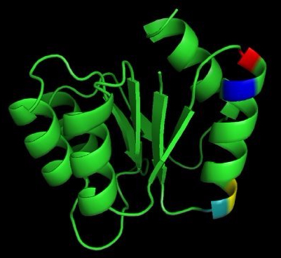 CtrA – Aron Kamajaya, Ph.D.